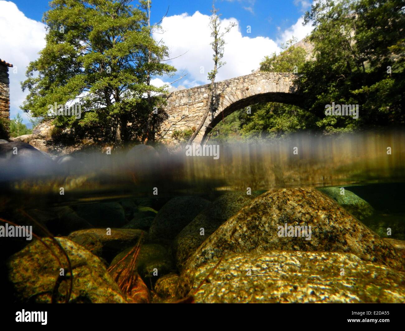 France, Haute Corse, Niolu (Niolo) region, Genoese bridge of ...