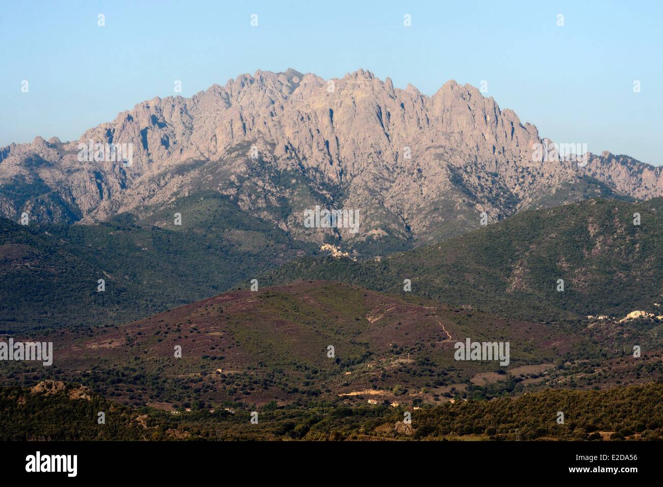 France haute corse niolo region hi-res stock photography and images - Alamy