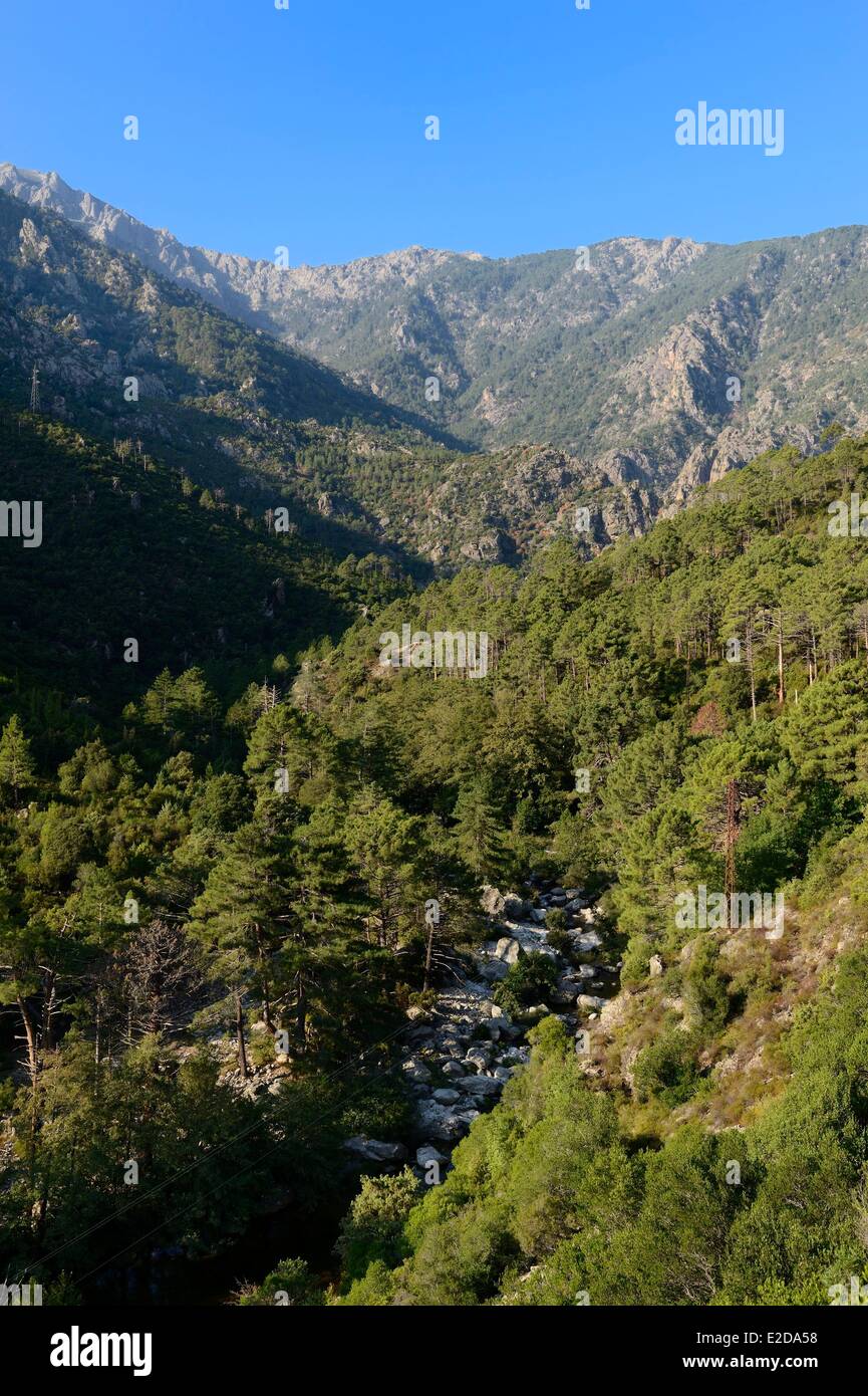France, Haute Corse, Niolu (Niolo) region, the rocky gorge of the Scala ...
