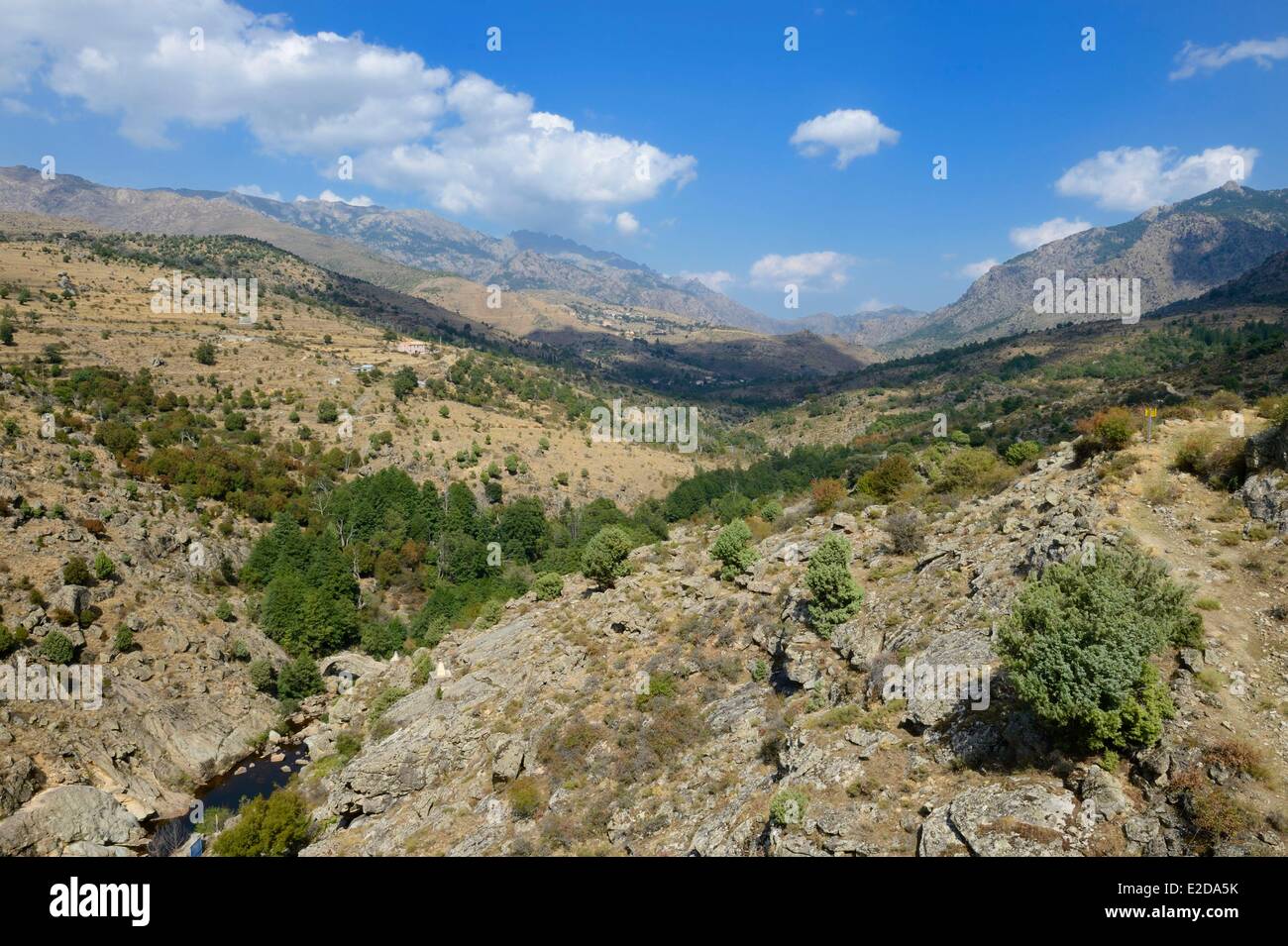 France haute corse niolu niolo hi-res stock photography and images - Alamy