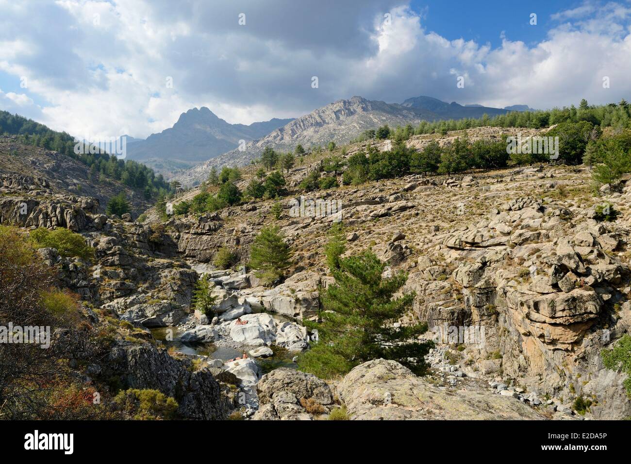 France, Haute Corse, Niolu (Niolo) region, swimming in the Golo river ...