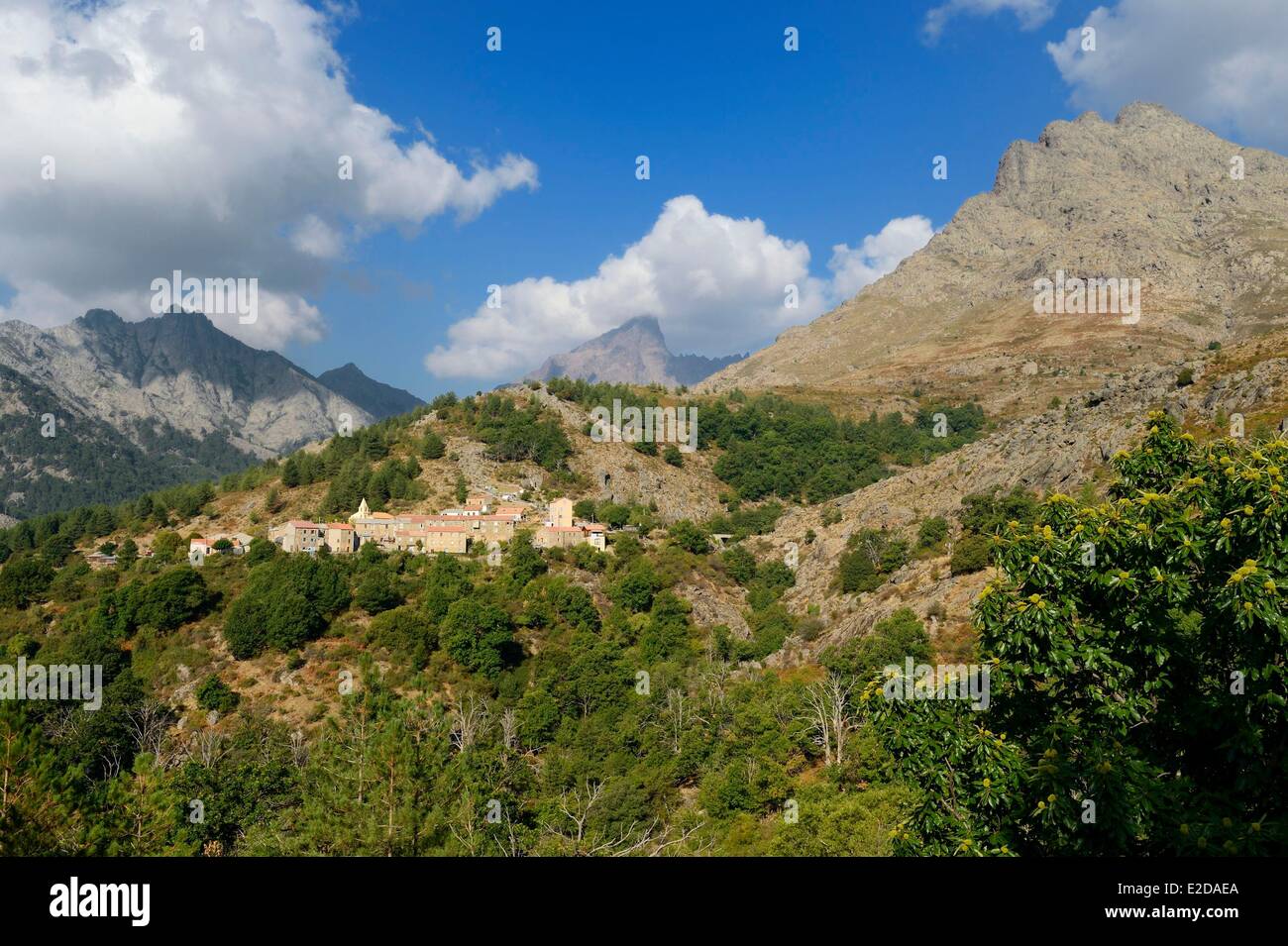 France, Haute Corse, Niolu (Niolo) region, Calasima highest village in ...