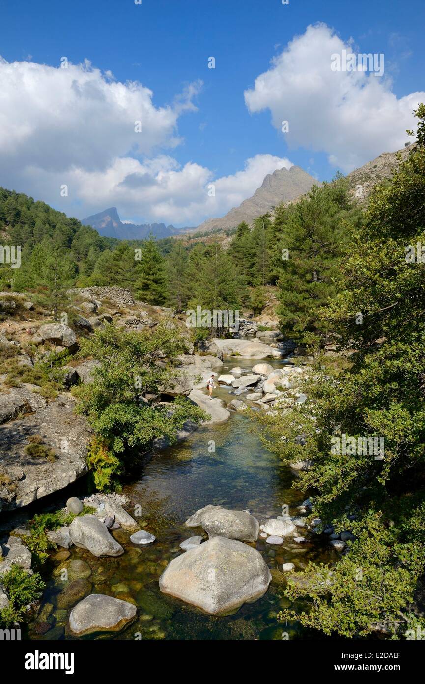 France haute corse niolu niolo hi-res stock photography and images - Alamy