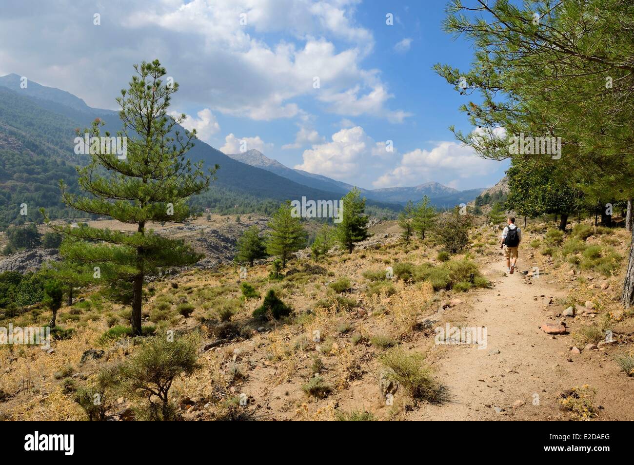 France haute corse niolu niolo hi-res stock photography and images - Alamy