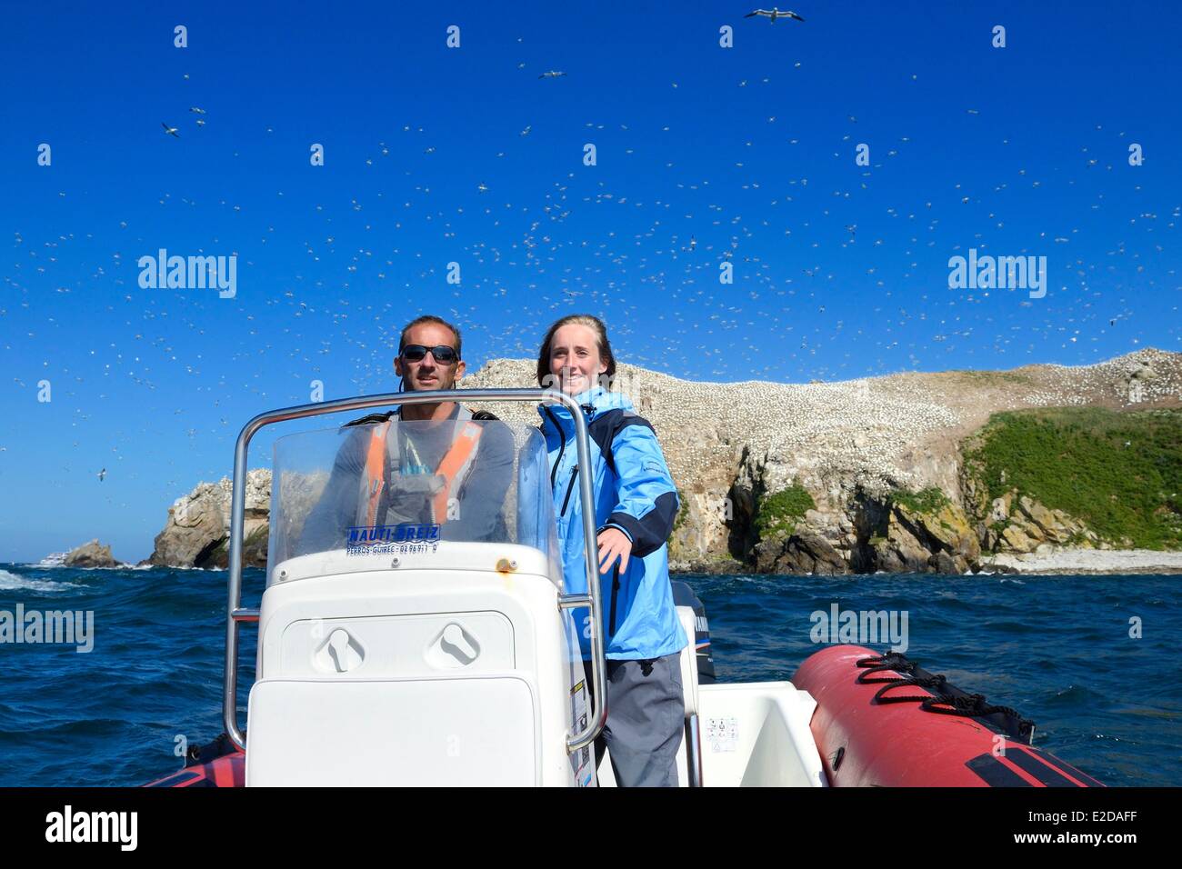 France Cotes d'Armor Perros Guirec Sept Iles Archipelago and bird ...