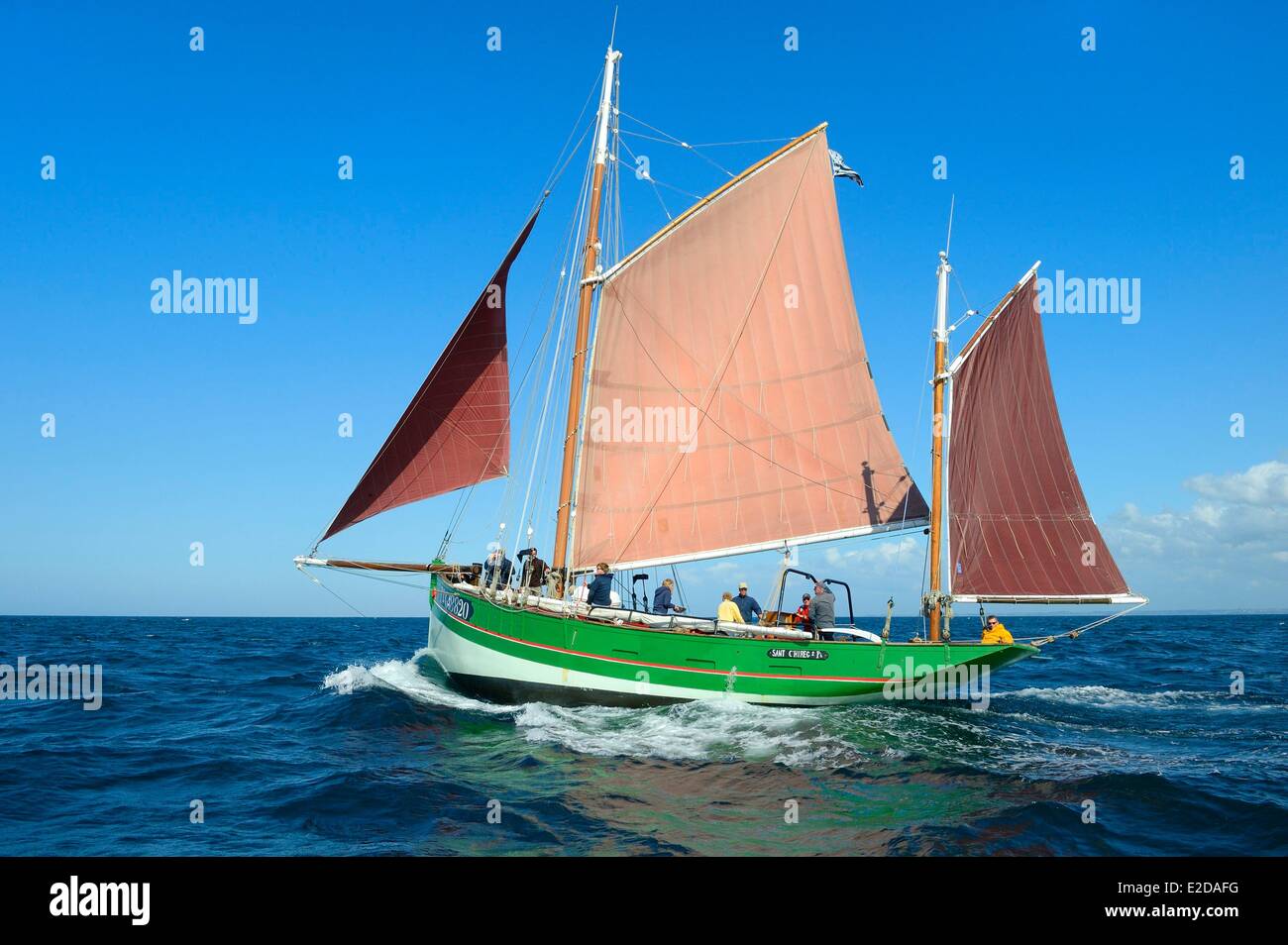 France Cotes d'Armor Perros Guirec Sept Iles Archipelago and bird ...