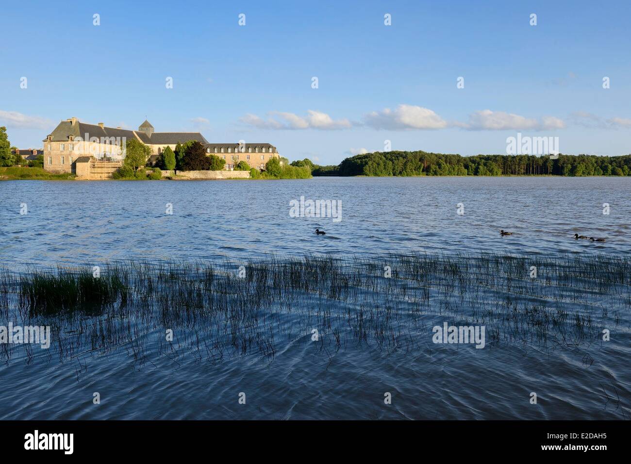 France Ille et Vilaine Broceliande Forest the abbey of Paimpont on the ...