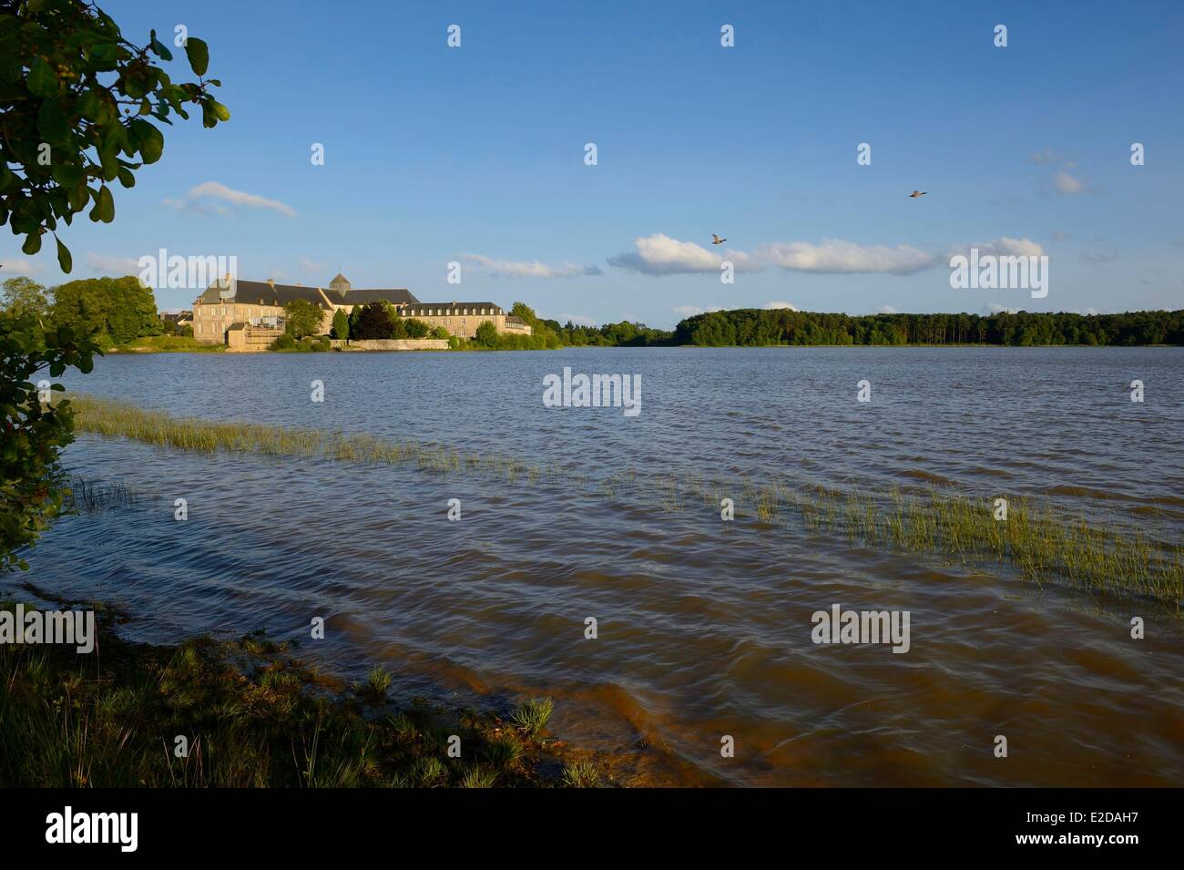 France Ille et Vilaine Broceliande Forest the abbey of Paimpont on the ...