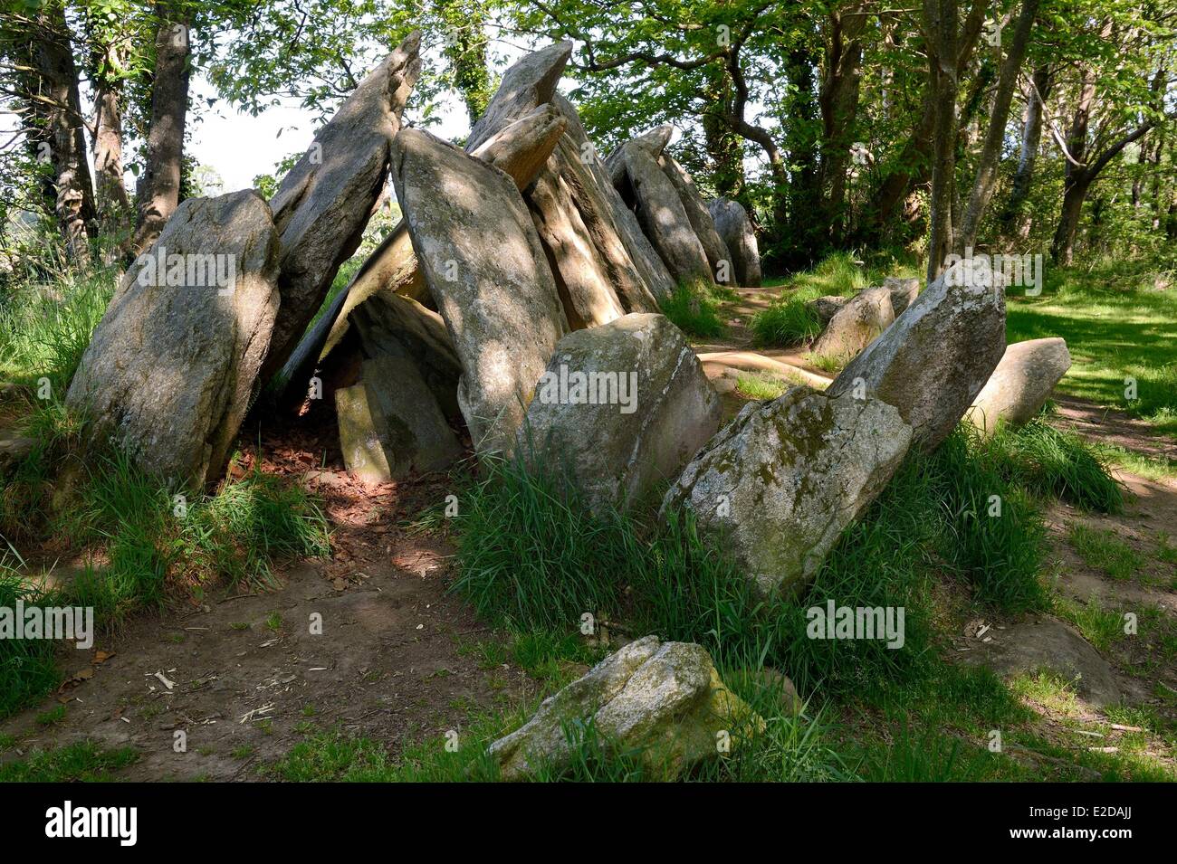 Megalith grave hi-res stock photography and images - Alamy
