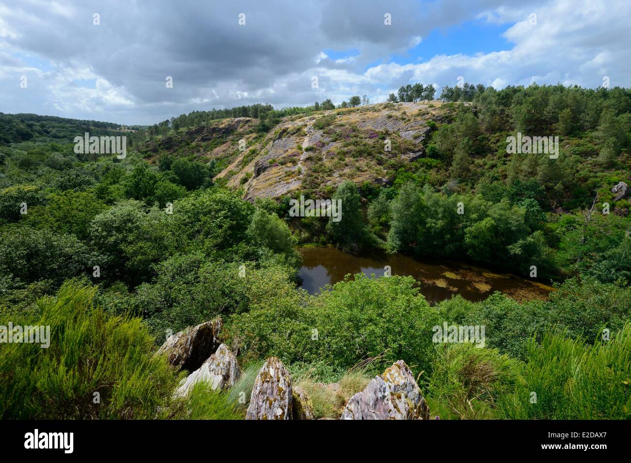 France Morbihan Broceliande Forest Trehorenteuc the Mare aux Fees (the ...