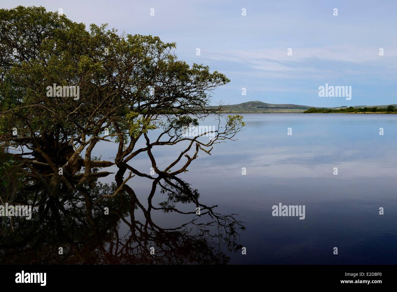 Massif armoricain hi-res stock photography and images - Alamy