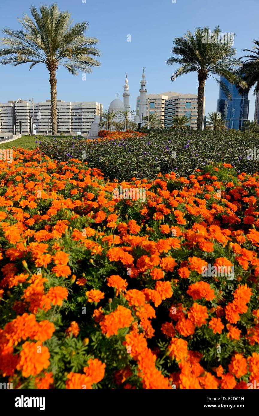 Baniyas Road High Resolution Stock Photography and Images - Alamy
