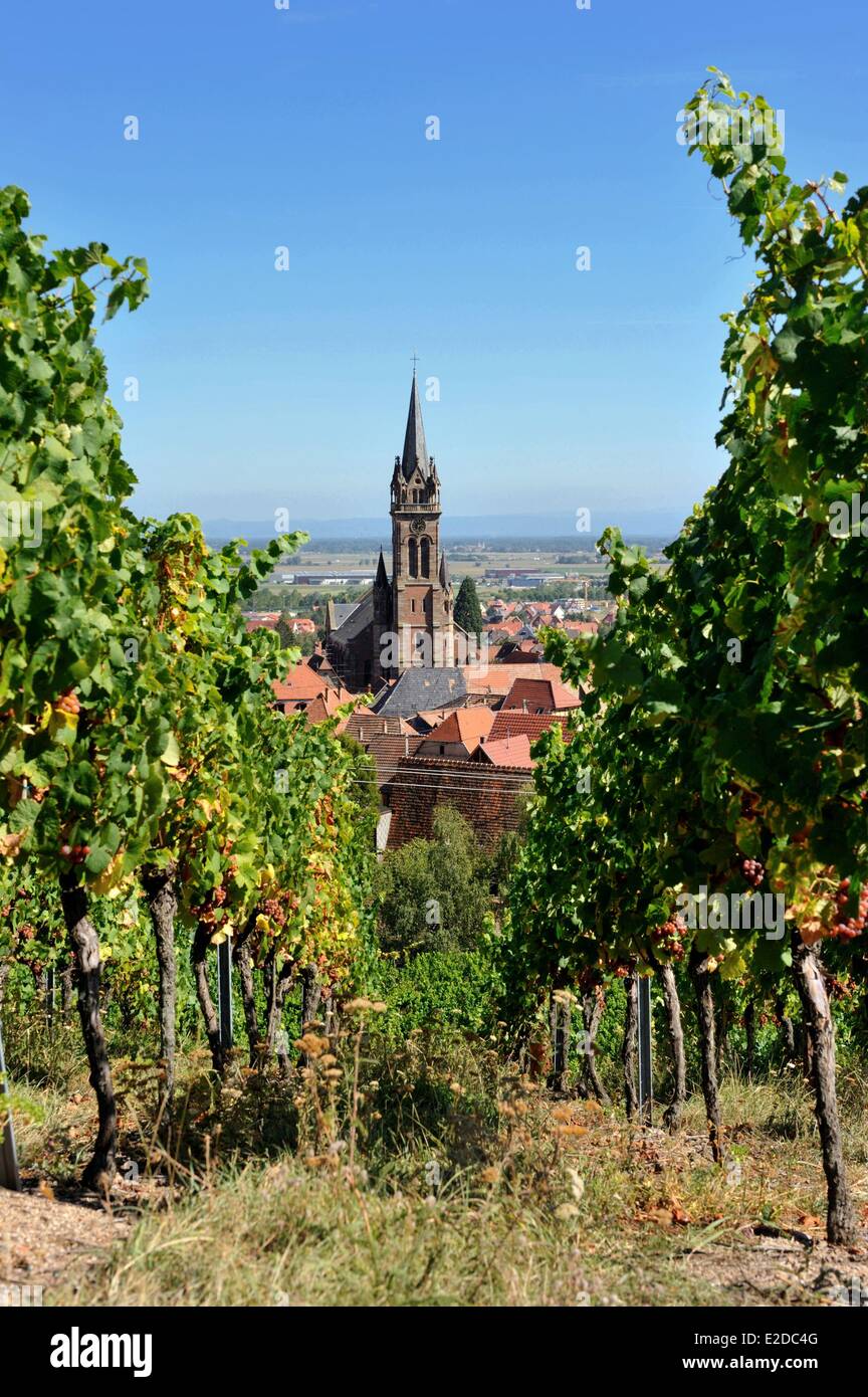 France Bas Rhin Alsace Wine Route Dambach la Ville Stock Photo - Alamy