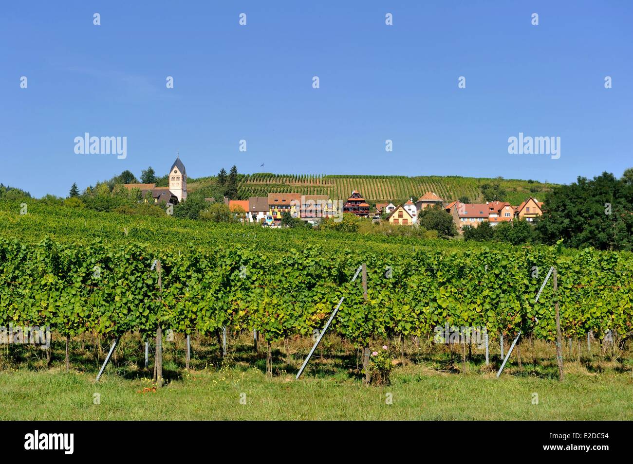 France Bas Rhin Alsace Wine Route Itterswiller Stock Photo - Alamy