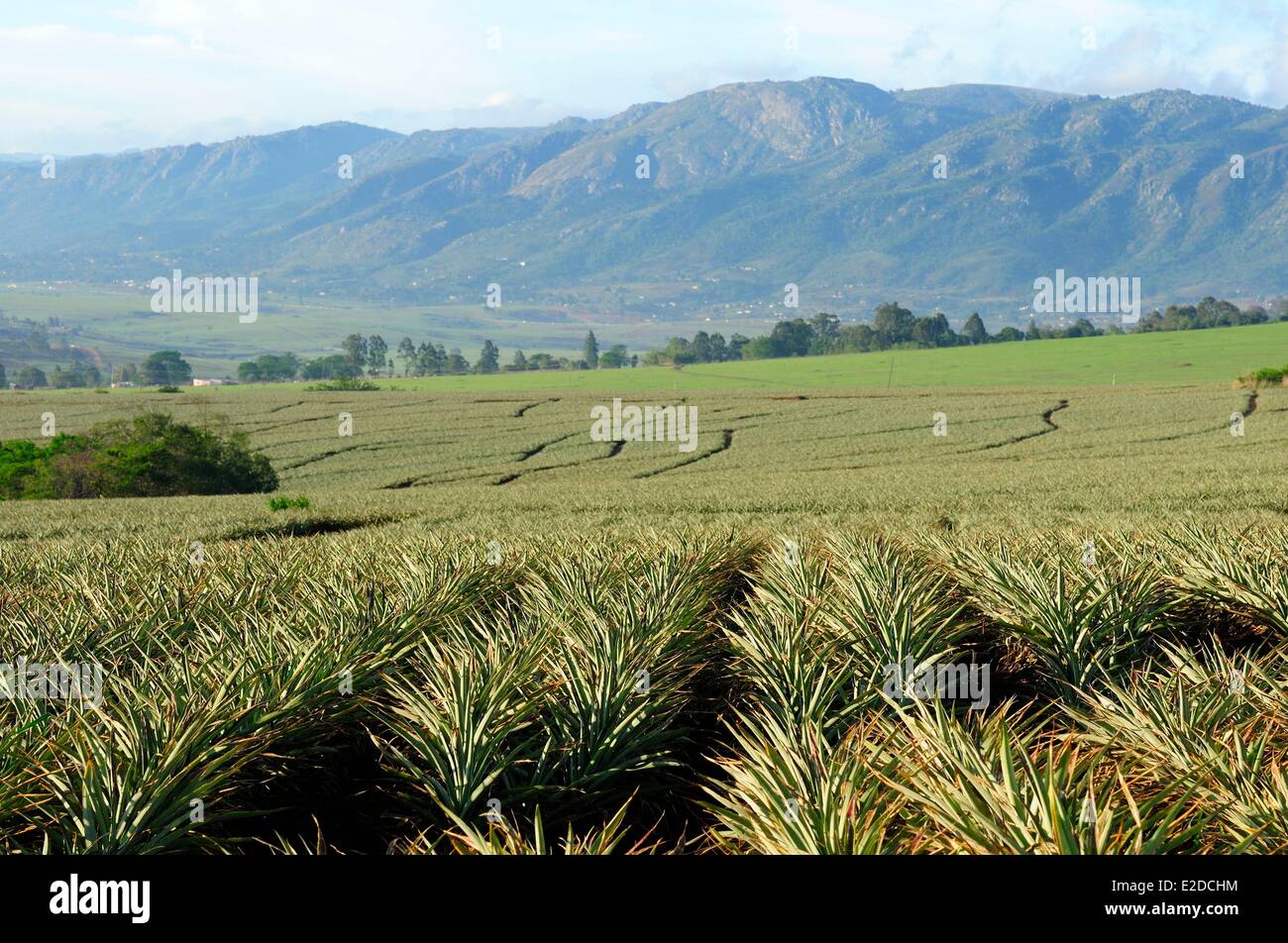 Malkerns Stock Photos & Malkerns Stock Images - Alamy