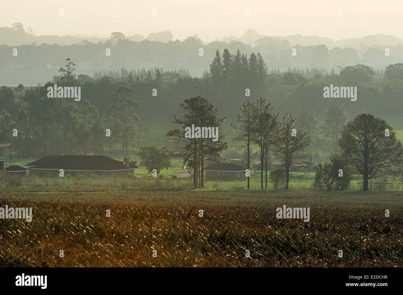 Swaziland Manzini district Malkerns valley Stock Photo - Alamy