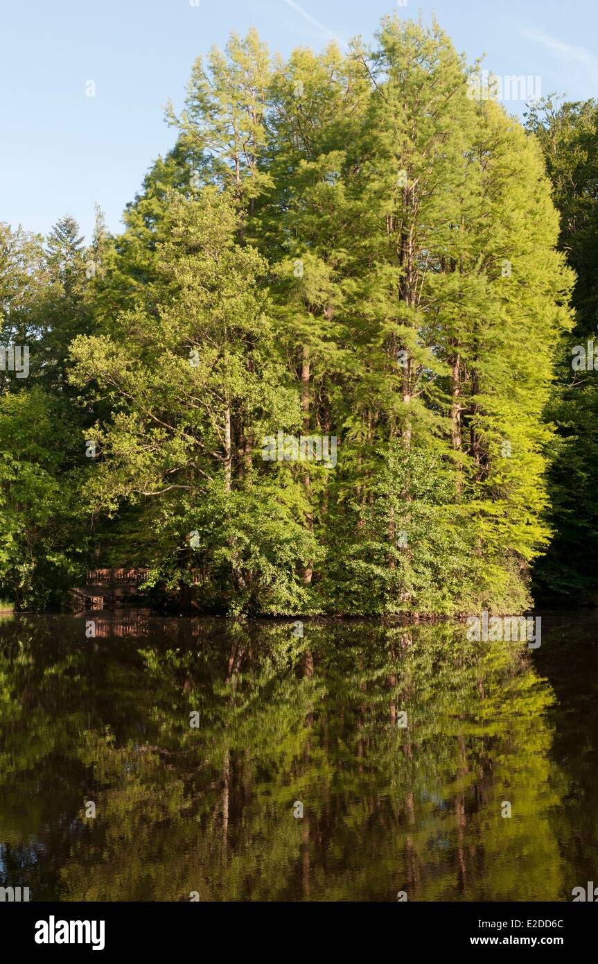 France normandy forest hi-res stock photography and images - Alamy
