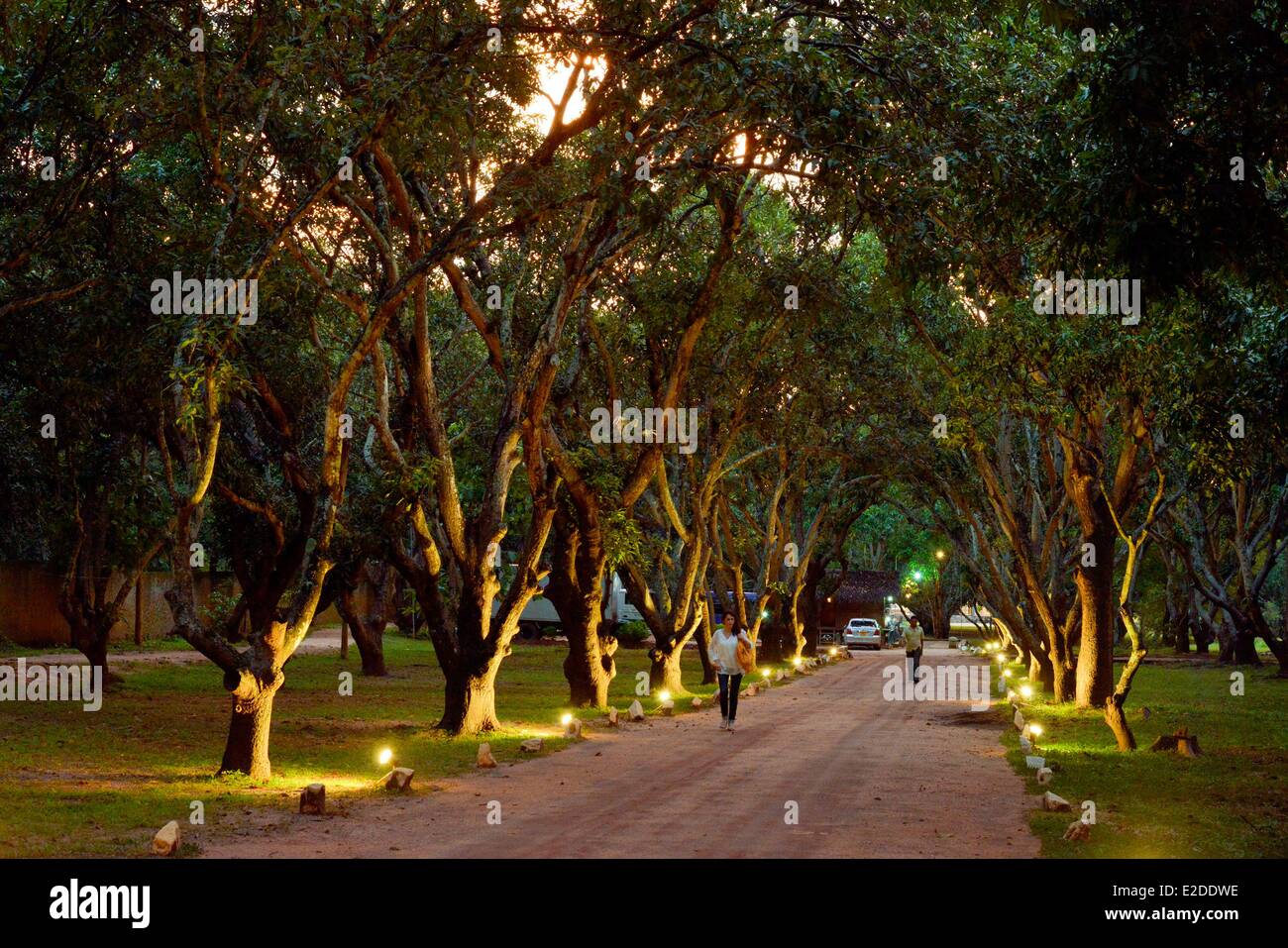Sri Lanka Central Province Matale District Dambulla Hotel Thilanka ...