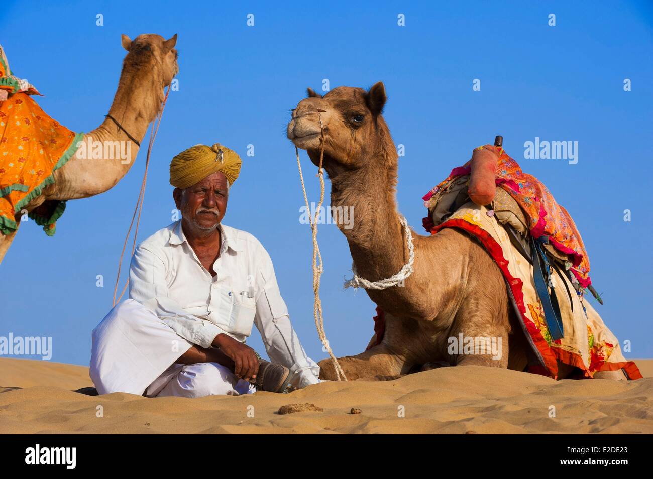 Thar desert animals hi-res stock photography and images - Alamy