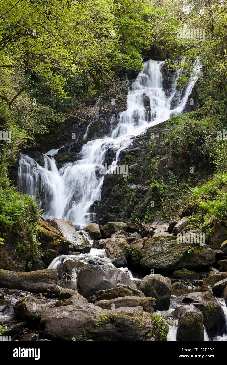 Ireland County Kerry Killarney National Park Torc waterfall Stock Photo ...