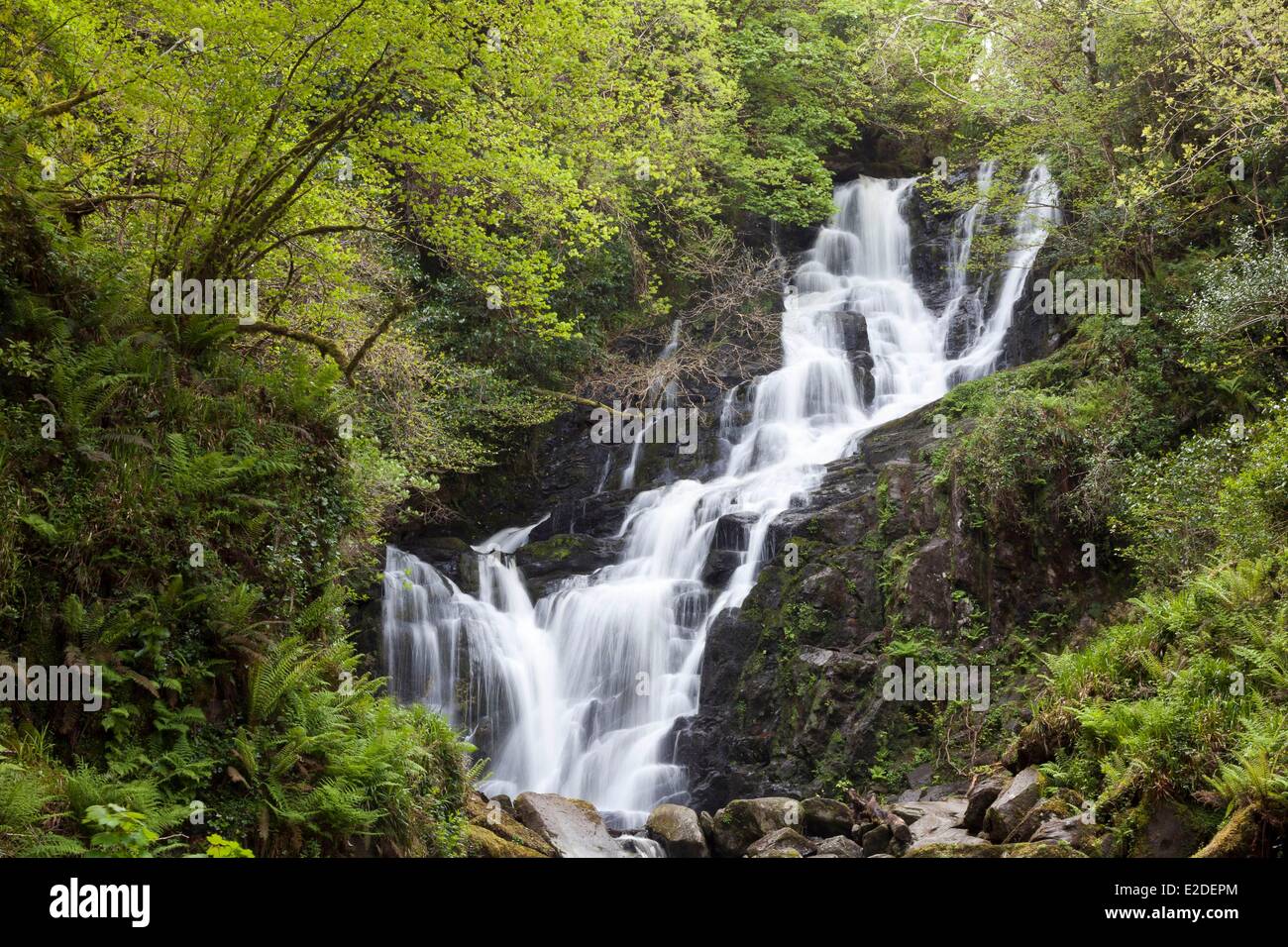 Ireland County Kerry Killarney National Park Torc waterfall Stock Photo ...