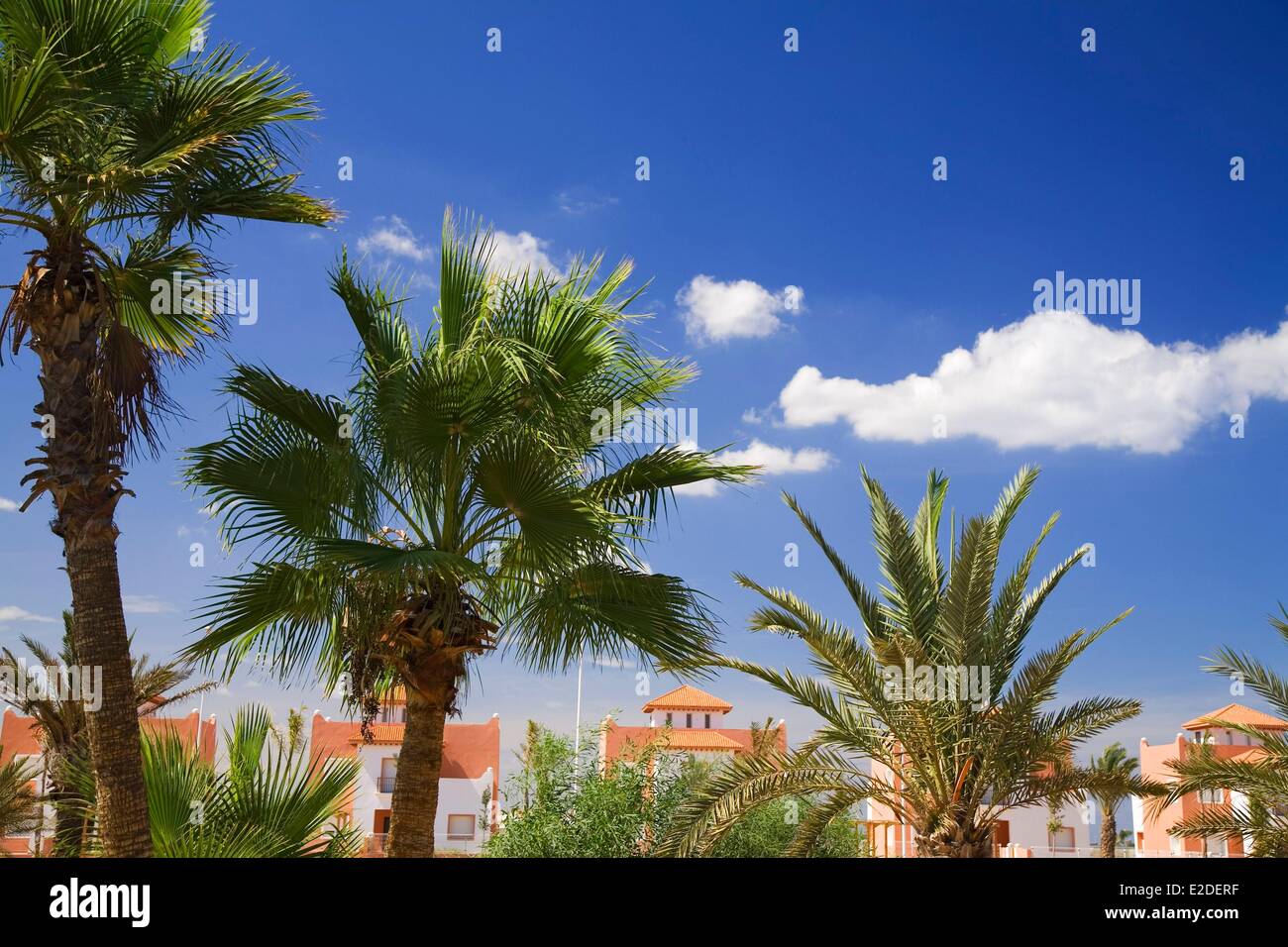 Saidia hi-res stock photography and images - Alamy