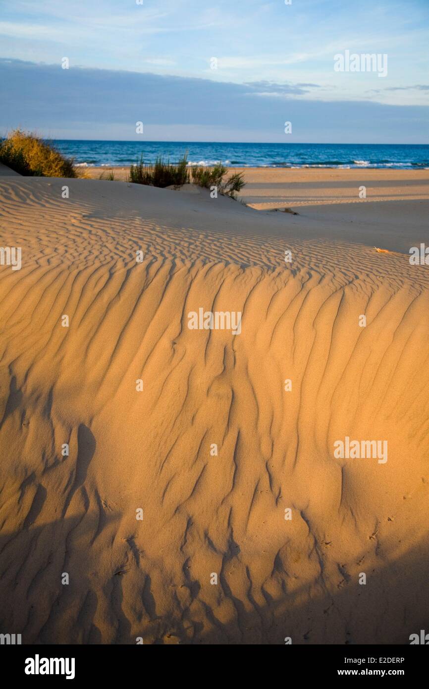 Morocco beach sand hi-res stock photography and images - Alamy