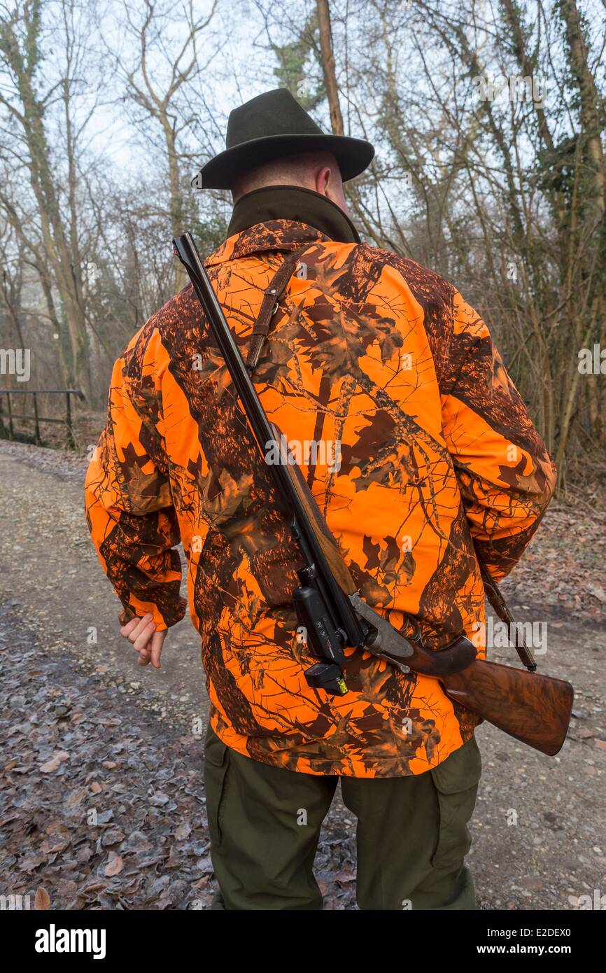 France Bas Rhin Rhine forest hunting big game Stock Photo - Alamy