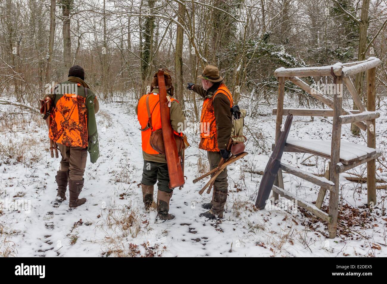 Big game hunter rifle hi-res stock photography and images - Alamy