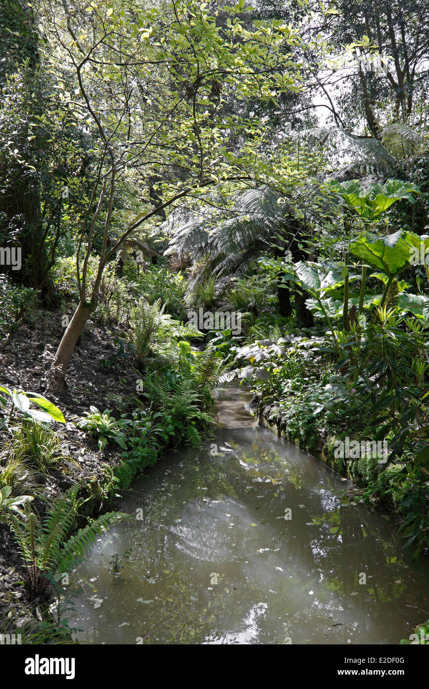 A humid subtropical forest hi-res stock photography and images - Alamy