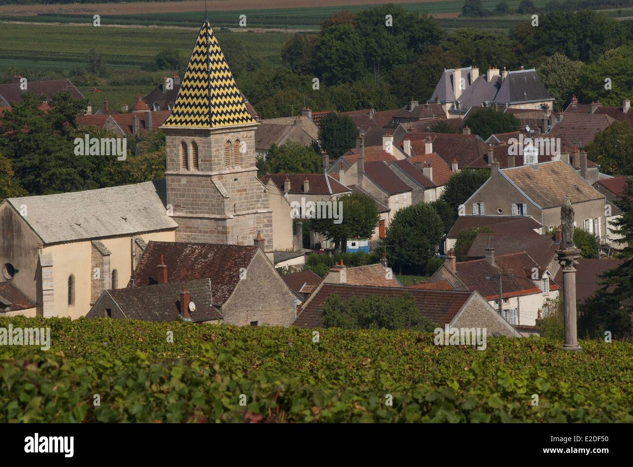 France Cote d'Or Fixin vineyards of the Cotes de Nuits Saint Martin de ...