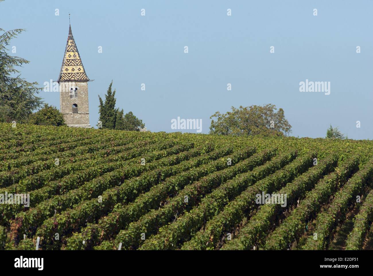 Fixin vineyards hi-res stock photography and images - Alamy