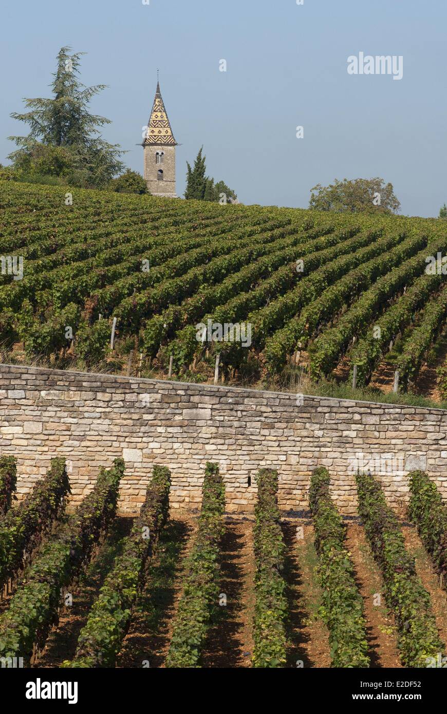 Fixin vineyards hi-res stock photography and images - Alamy