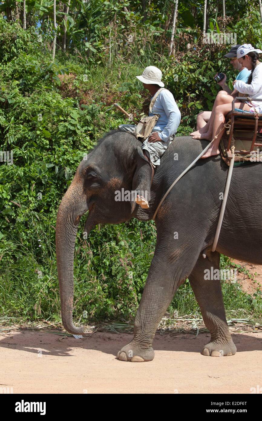 Man and woman riding elephant hi-res stock photography and images - Alamy