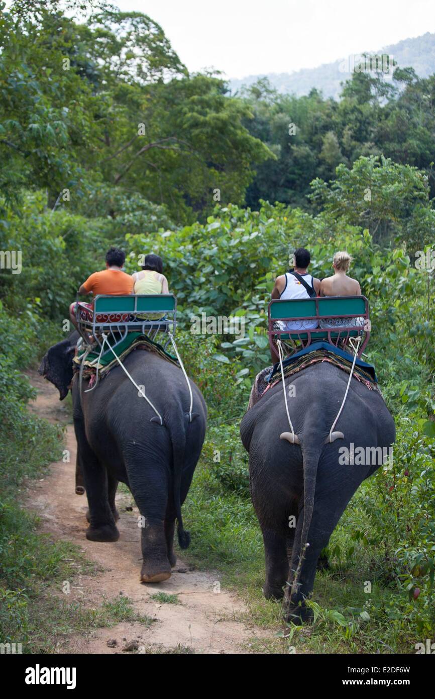 Thailand Phuket province Elephant trip riding Stock Photo - Alamy