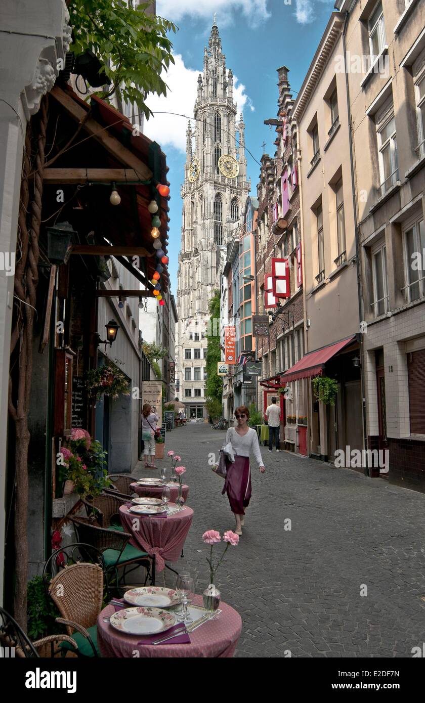 Belgium Flanders Antwerp around the Cathedral the 123m tall tower a ...