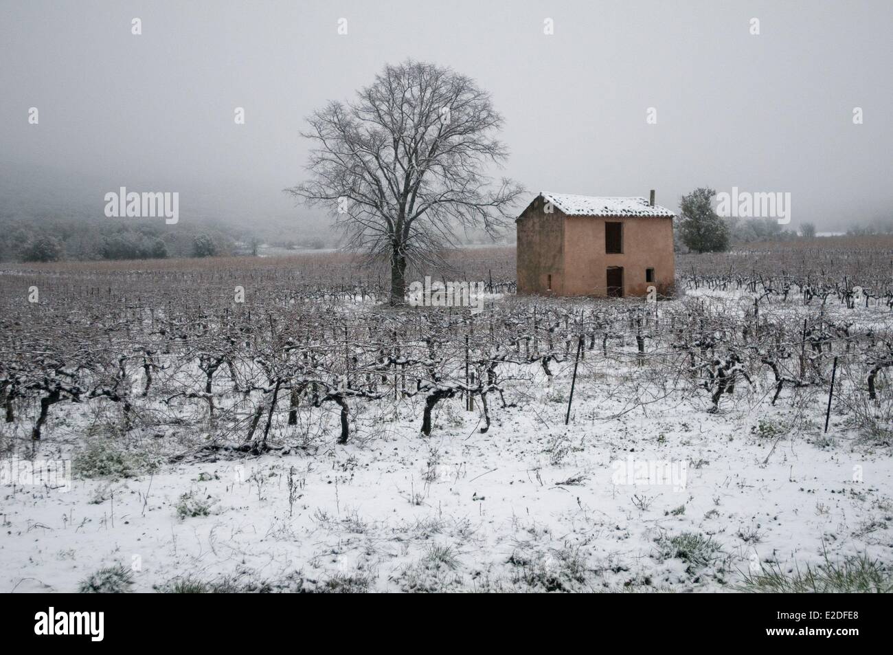 France Vaucluse farm in the snow Stock Photo - Alamy