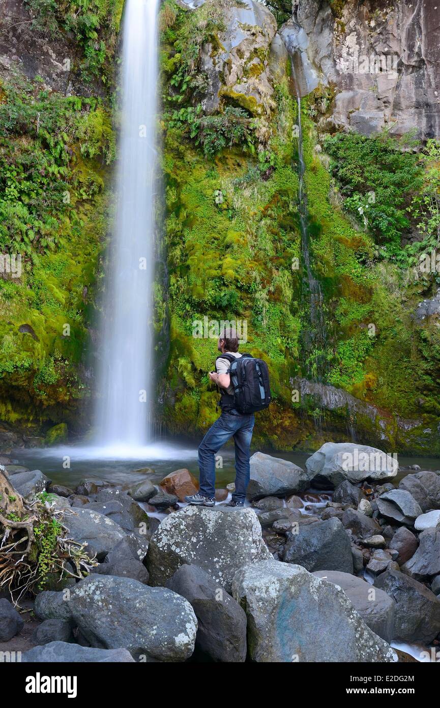 New Zealand North Island Egmont National Park the Mount Taranaki Dawson ...