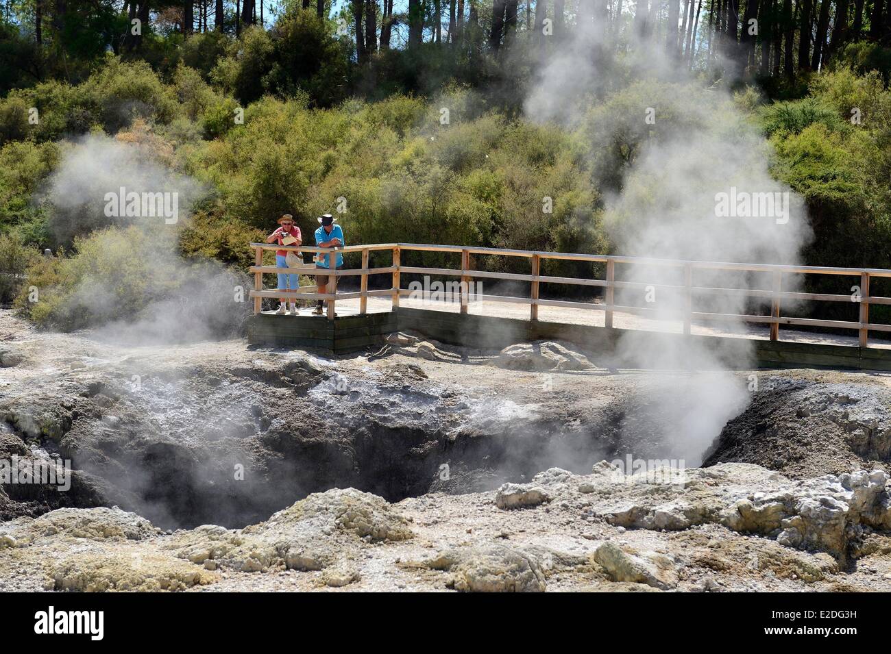 New Zealand North island Rotorua District Taupo Volcanic Zone the ...