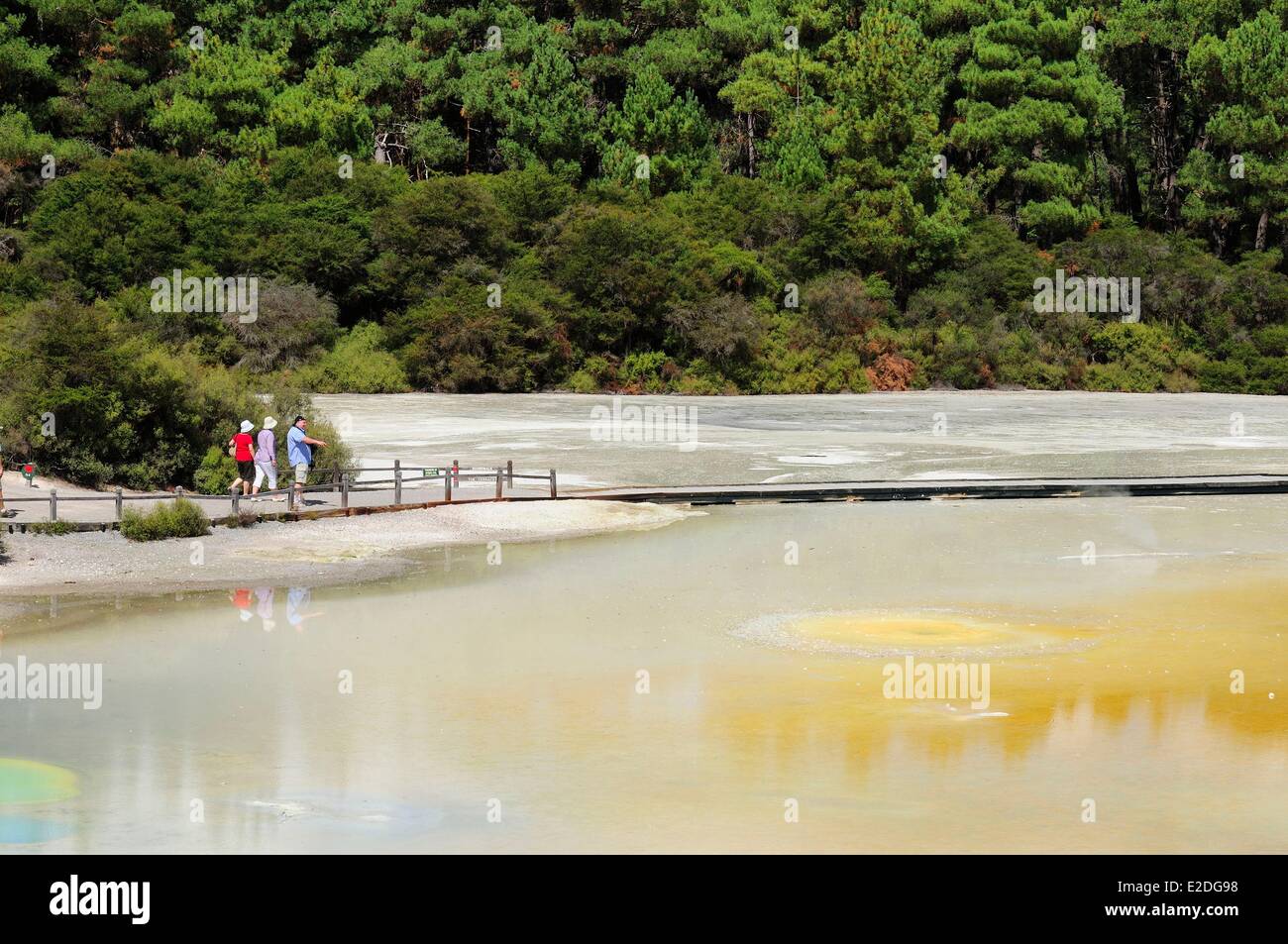 New Zealand North Island Rotorua District Taupo Volcanic Zone the ...