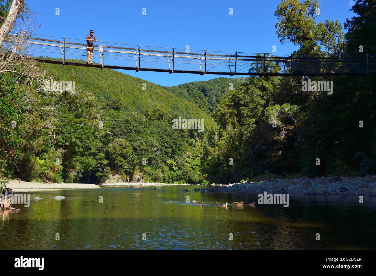 Kaitoke regional park hi-res stock photography and images - Alamy
