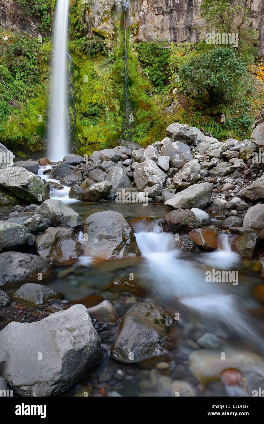 New Zealand North Island Egmont National Park the Mount Taranaki Dawson ...