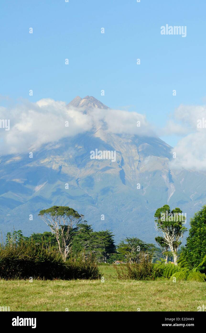 New Zealand, North Island, Egmont National Park, the Mount Taranaki is ...