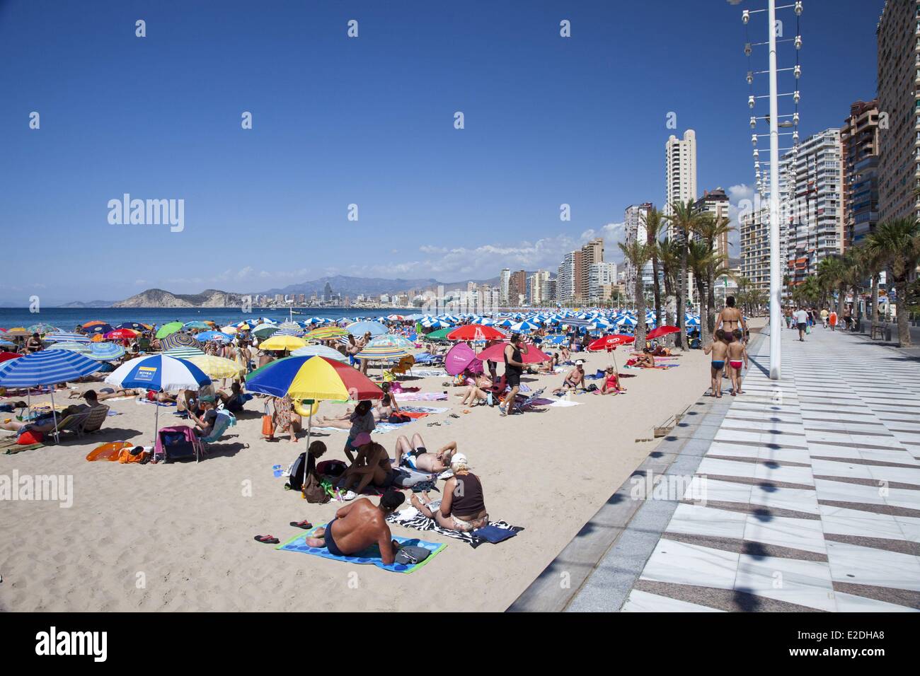 Spain, Valencia Community, Costa Blanca, Benidorm, Cityscape, beach ...