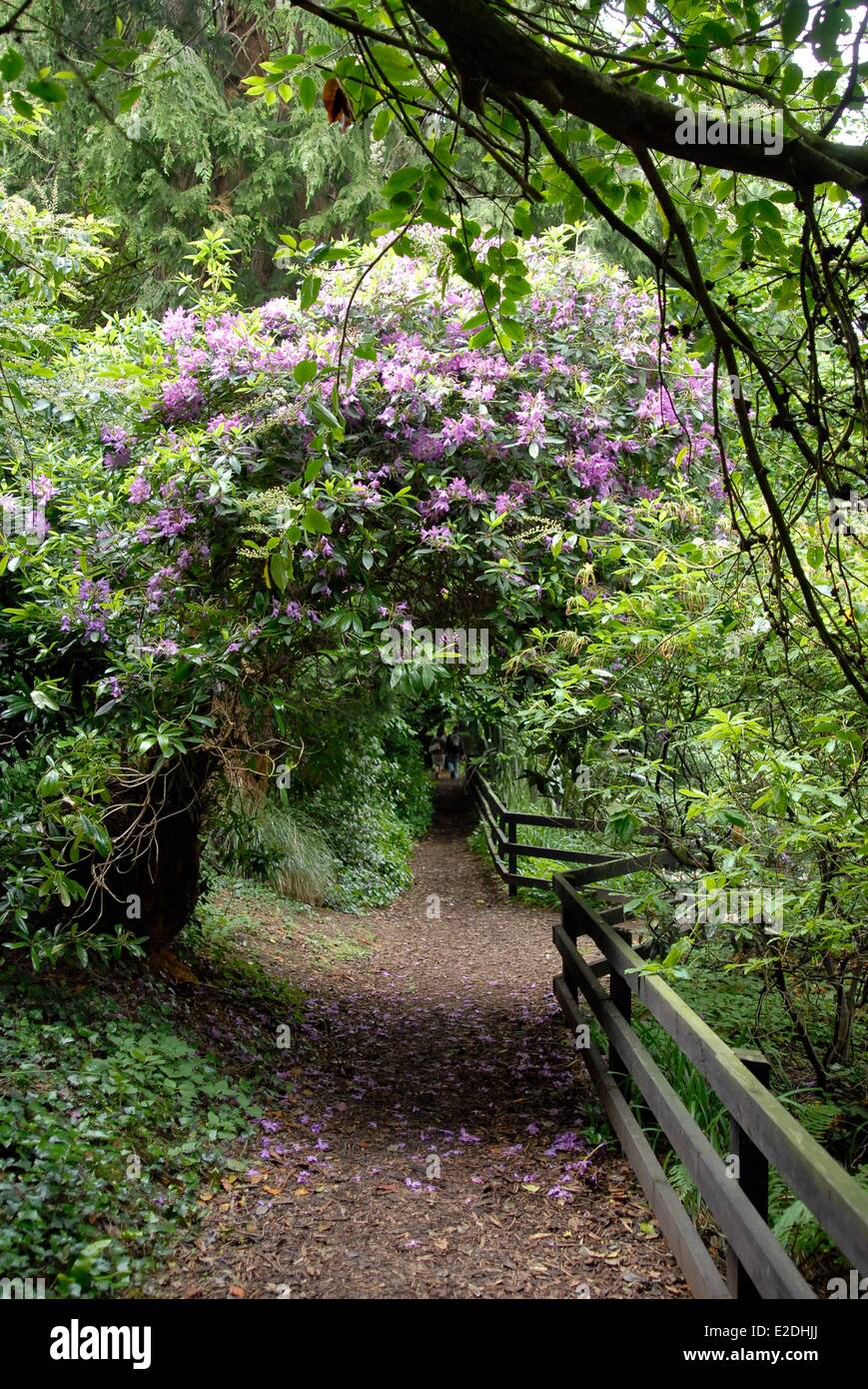 Ireland Carlow County Tullow Altamont Gardens a mixture of formal ...