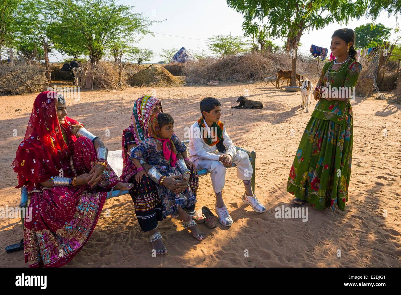 India Rajasthan state Nagaur Tribal village of Singhani near the town ...