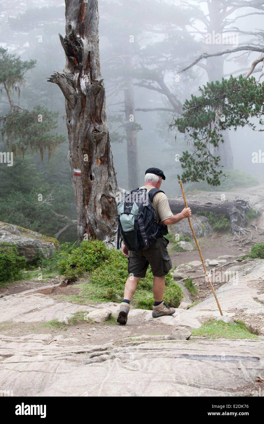 France, Hautes Pyrenees, Pyrenees National Park, GR10 grande randonnee ...