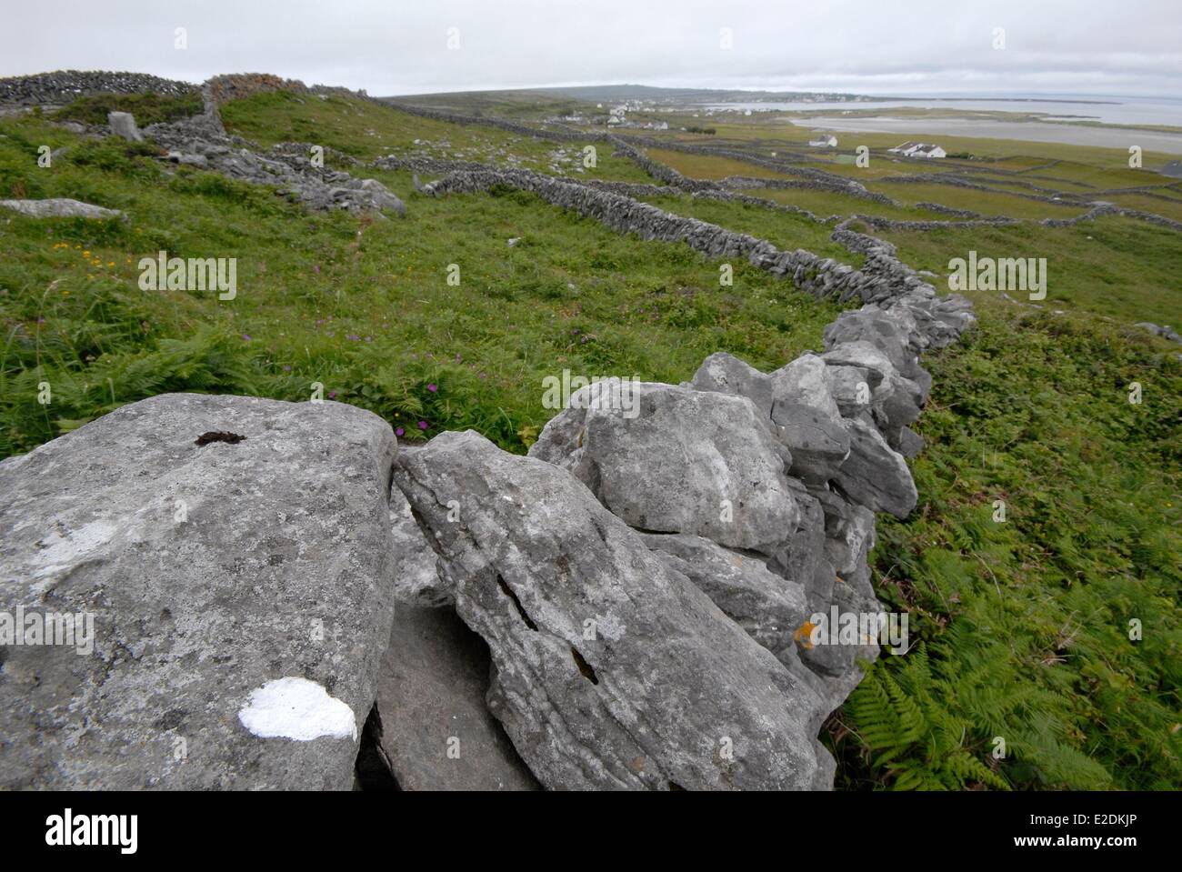 North sea wall hi-res stock photography and images - Alamy