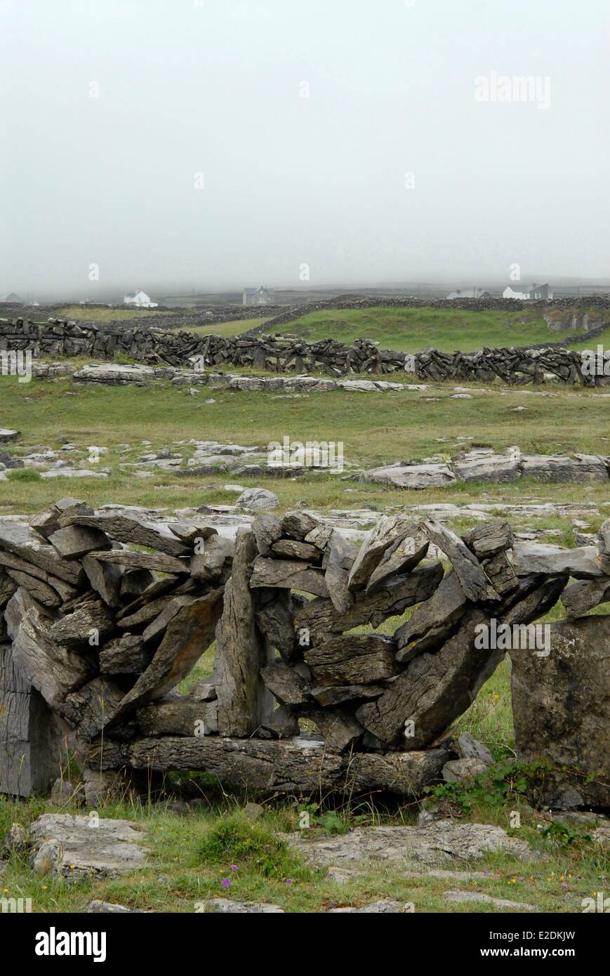Ireland County Galway Aran Islands Inishmore Kilronan dry stone walls ...