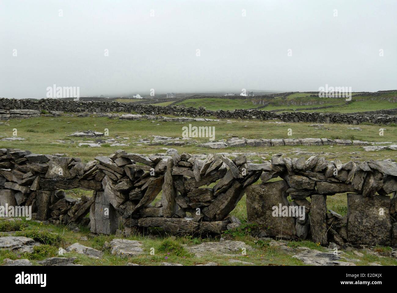 Inishmore stone walls hi-res stock photography and images - Alamy